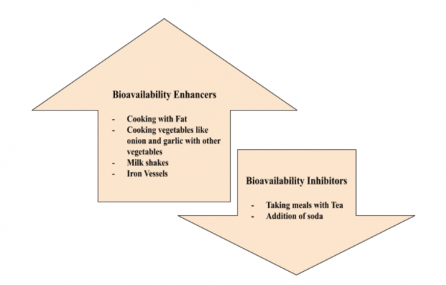 Food Combinations for Micronutrient Bioavailability Research at INFS