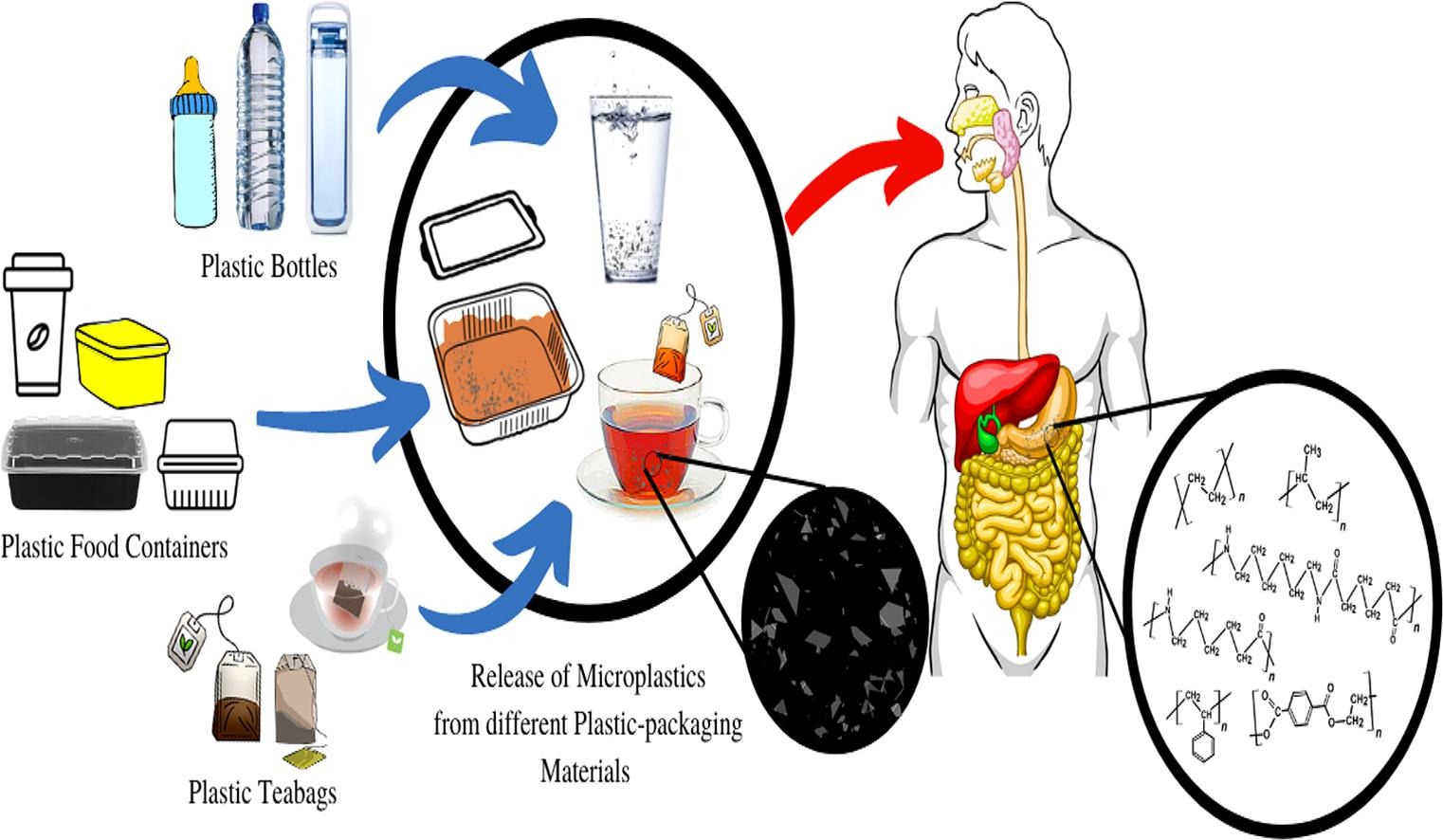 The Health Risks of Microplastics and Nanoplastics: What You Need to Know