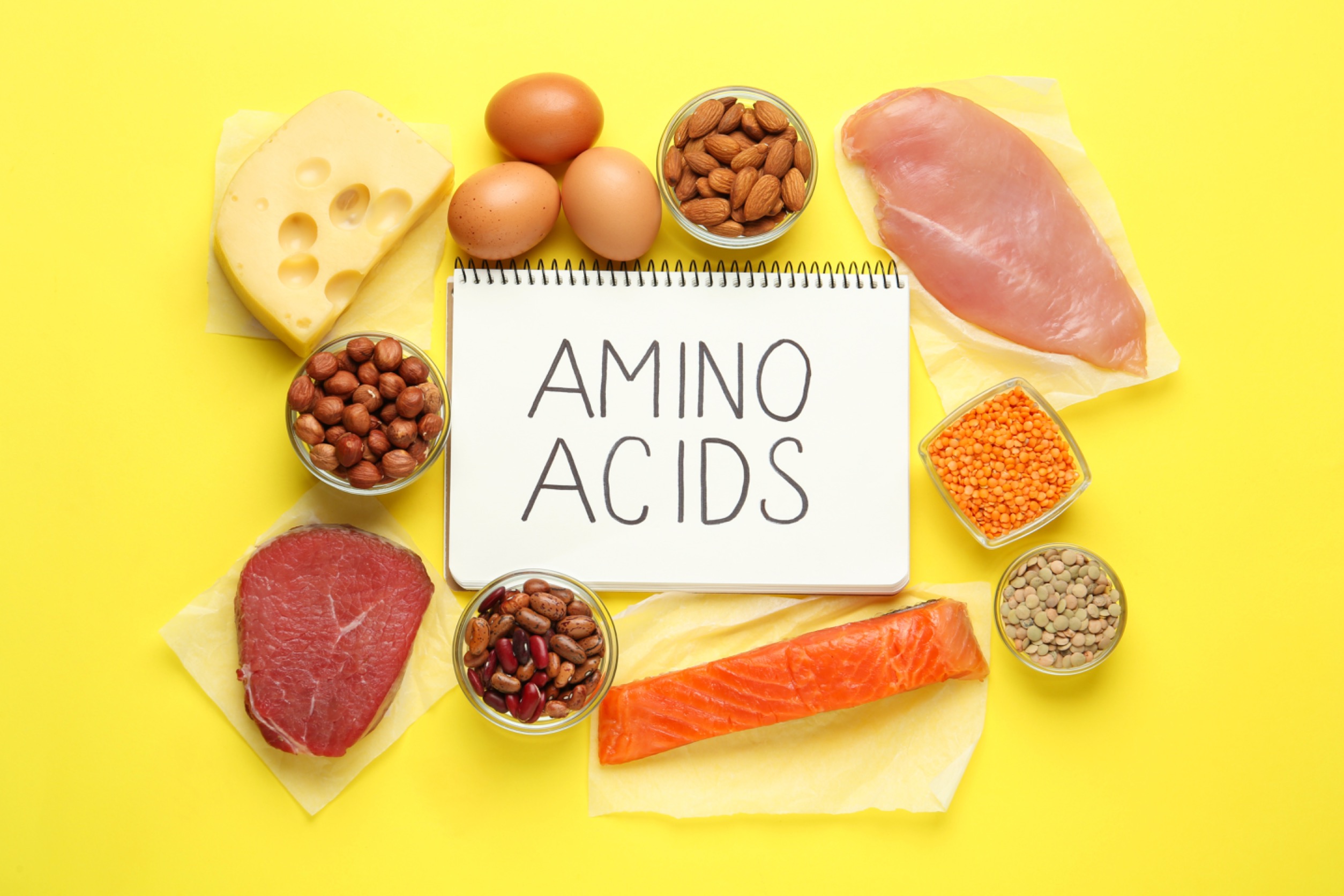 Understanding Amino Acids: Why They Matter and How to Incorporate Them ...