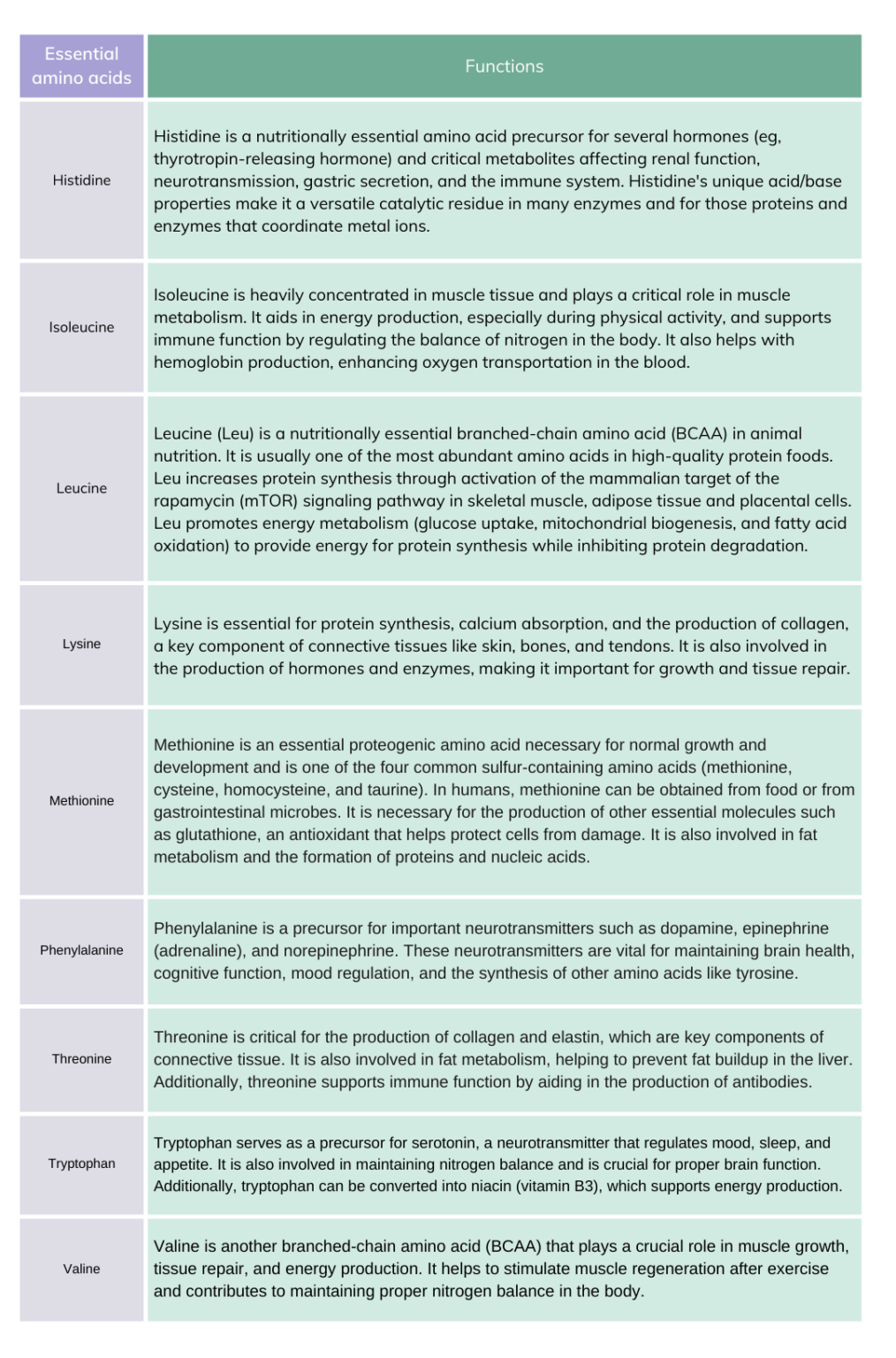 Understanding Amino Acids: Why They Matter and How to Incorporate Them ...
