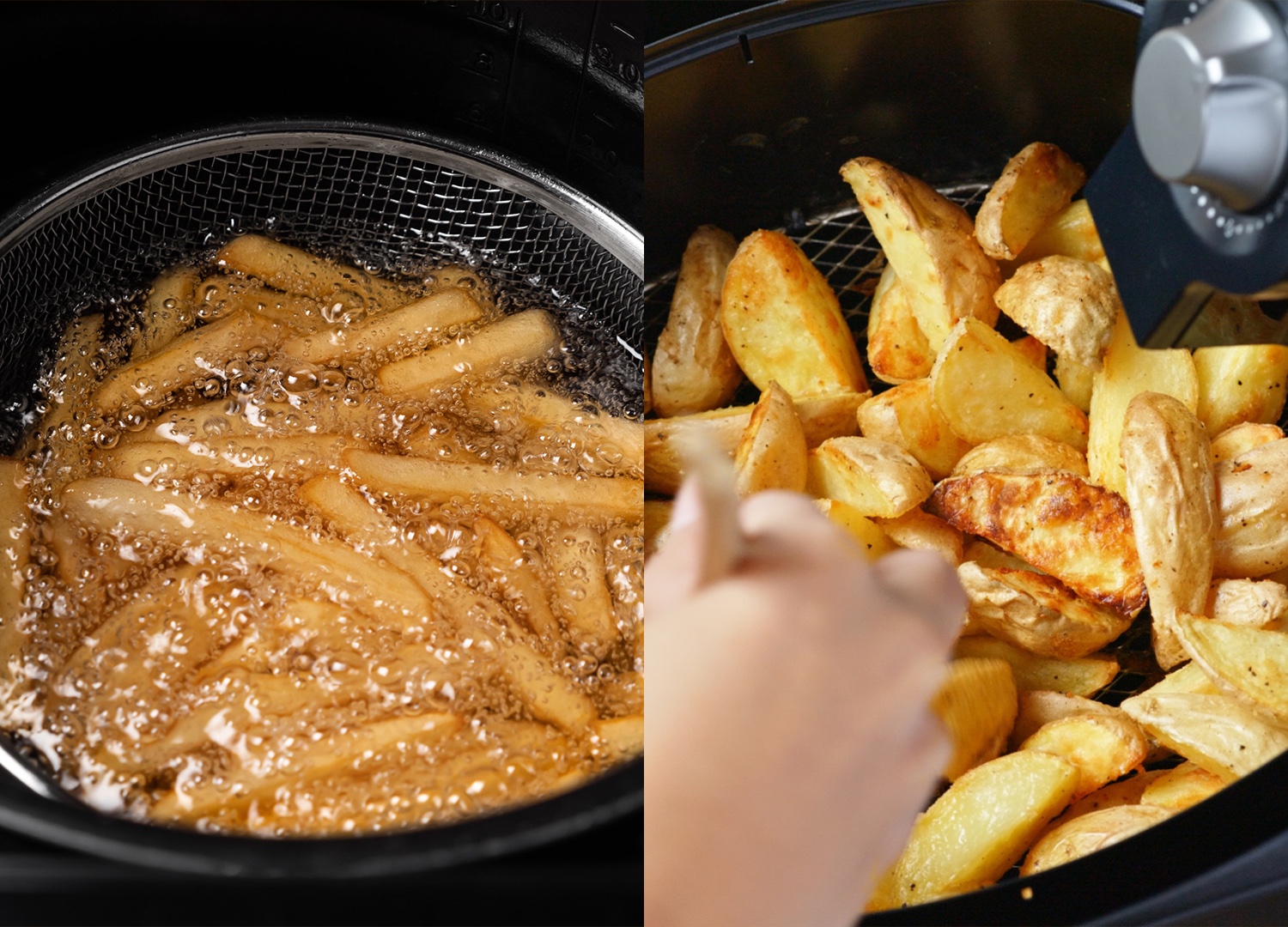 Institute of Nutrition and Fitness Sciences