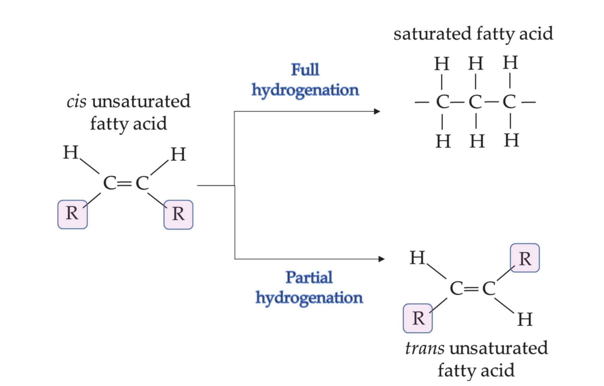 Partially Hydrogenated vs. Fully Hydrogenated Fats: Which Is More ...